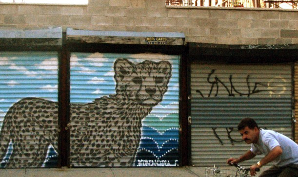 Broken Crow – One Week In Brooklyn | Brooklyn Street Art