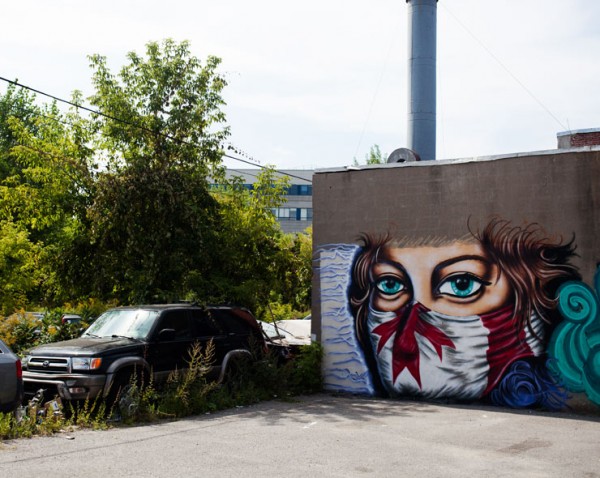 “Decolonizing Street Art” Gives Voice to More than the Usual | Brooklyn ...