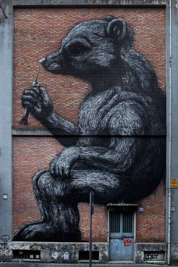 ROA and An Orphaned Bear in Rome | Brooklyn Street Art