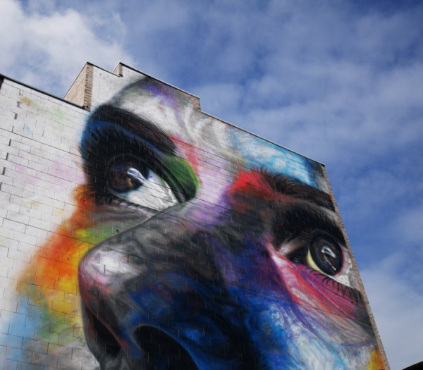 David Walker Paints Largest Mural at Belgian School for “Wild-Brabant ...