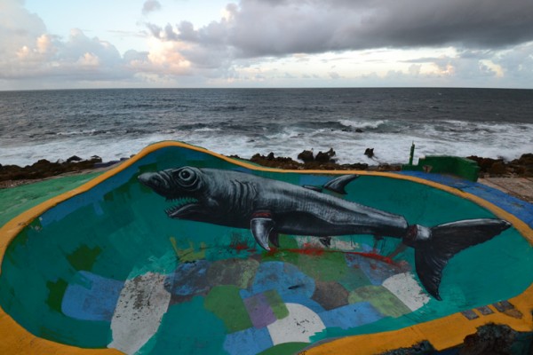 A ROA Diary Update in Pictures | Brooklyn Street Art