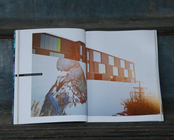 Adele Renault Takes Flight With a Message of “Feathers and Faces ...