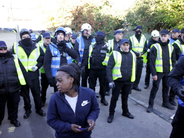 Cedar Lewisohn, Wishes And Hopes For 2019 | Brooklyn Street Art