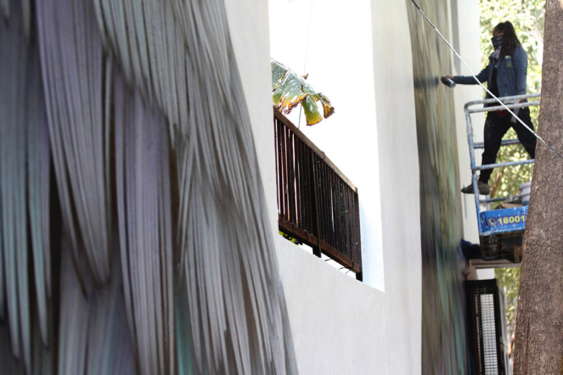 Painted Bird in New Delhi: Adele Renault in India | Brooklyn Street Art