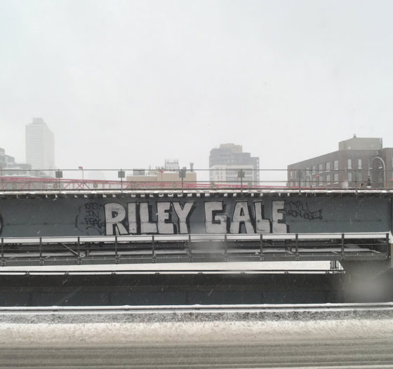 BSA Images Of The Week: 02.14.21 | Brooklyn Street Art