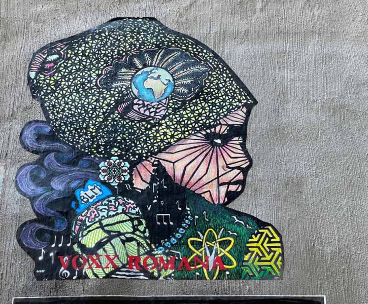 Mid-Summer Discovery: Burgeoning Magnet Wall in Manhattan Boasts Bounty ...