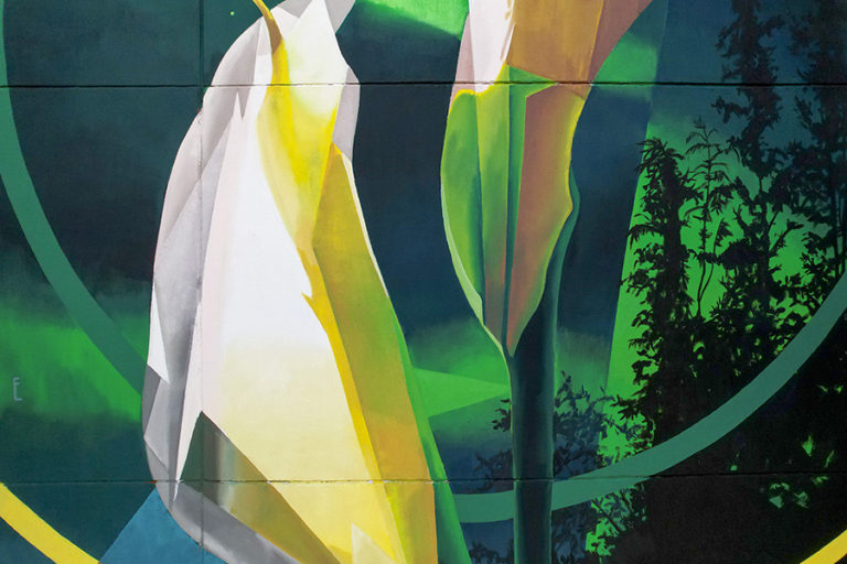 Fabio Petani: “NITROGEN OXIDE & ZANTEDESCHIA AETHIOPICA” | Brooklyn ...