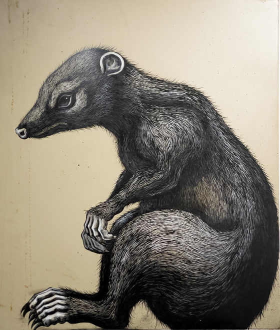 ROA: “In Limbo”, In New York | Brooklyn Street Art