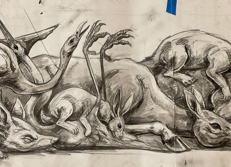 ROA: “In Limbo”, In New York | Brooklyn Street Art