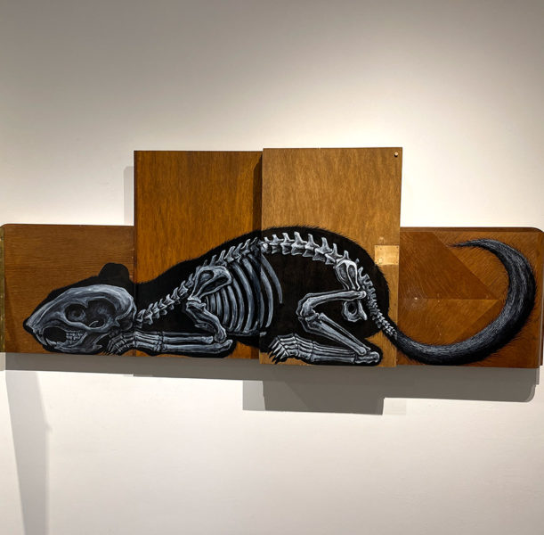 ROA: “In Limbo”, In New York | Brooklyn Street Art