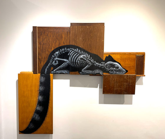 ROA: “In Limbo”, In New York | Brooklyn Street Art