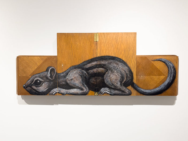 ROA: “In Limbo”, In New York | Brooklyn Street Art