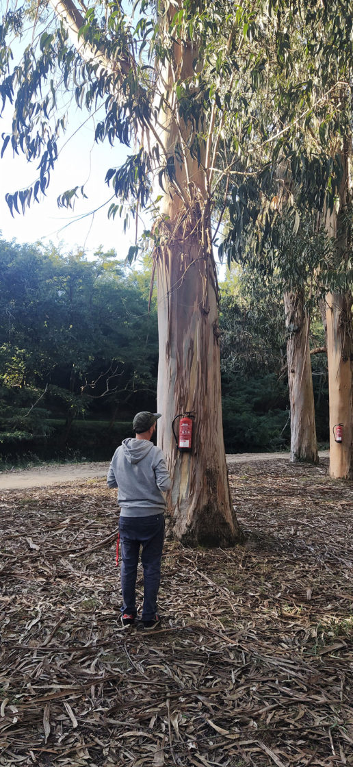 Isaac Cordal Into the Woods with Fire Extinguishers in Northern Spain ...