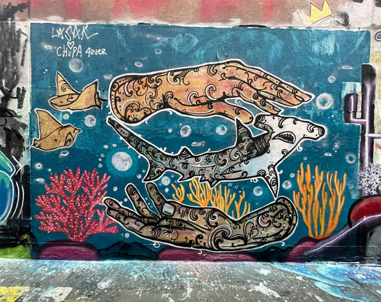 BSA Images Of The Week: 11.13.22 | Brooklyn Street Art