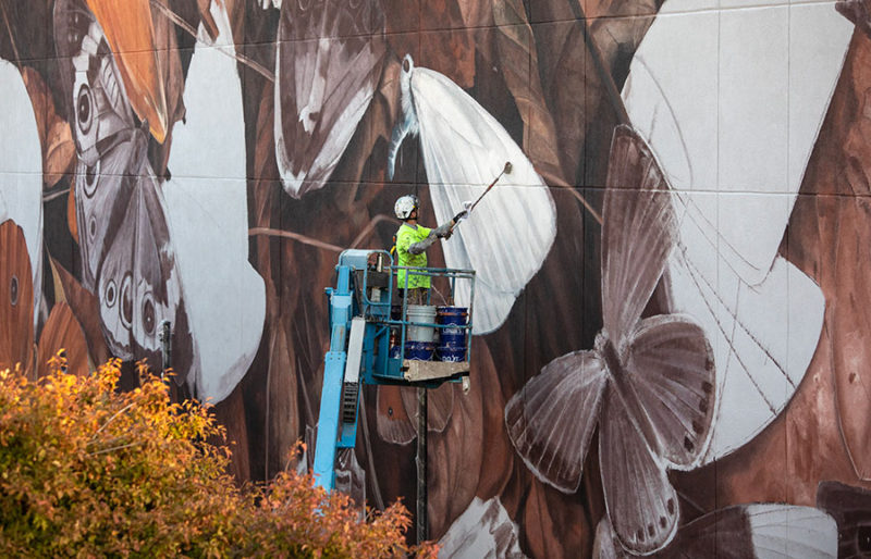 Kansas Flies Into the Mural Scene: Boom! | Brooklyn Street Art