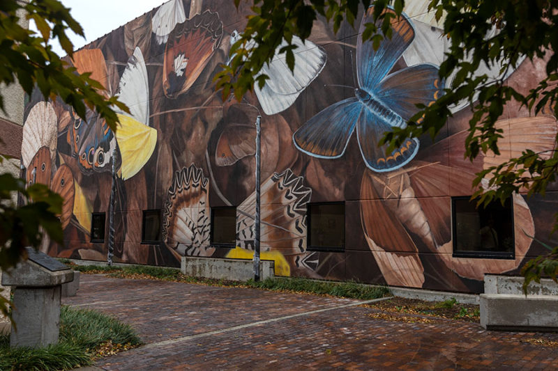 Kansas Flies Into the Mural Scene: Boom! | Brooklyn Street Art