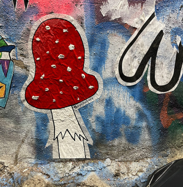 BSA Images Of The Week: 11.13.22 | Brooklyn Street Art