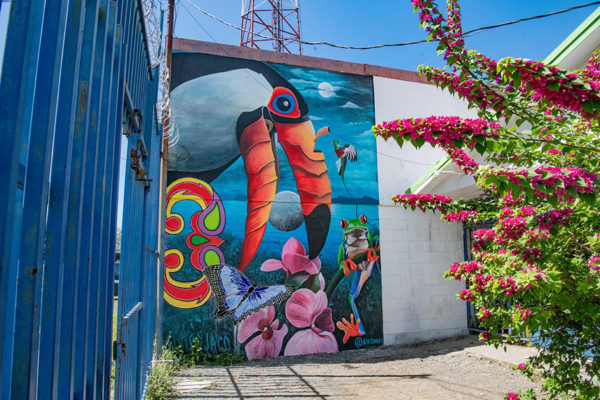 Artify Jacó Welcomes Marty and Nika | Brooklyn Street Art