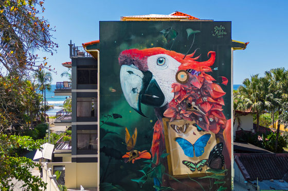 Artify Jacó Welcomes Marty and Nika | Brooklyn Street Art