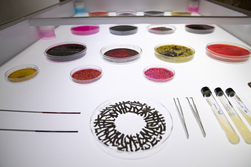Writing Bacteria: Said Dokins Tests Street Vernacular in the Lab and ...