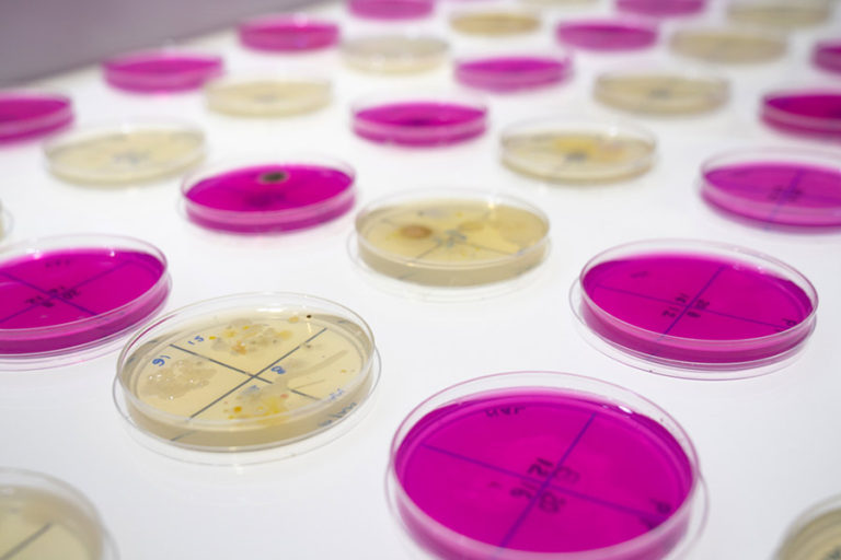 Writing Bacteria: Said Dokins Tests Street Vernacular in the Lab and ...