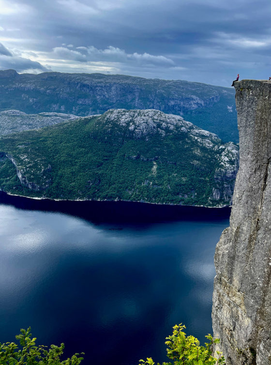 BSA Images Of The Week: 08.20.23 | Brooklyn Street Art