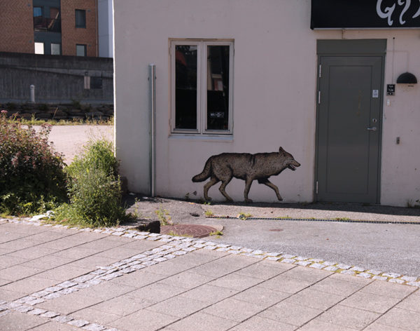 BSA Images Of The Week: 08.06.23 – Stavanger, Norway | Brooklyn Street Art