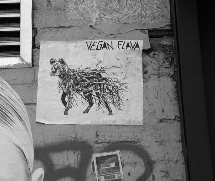 Stockholm’s Vegan Flava Tests NYC Street Environment, Finds His Balance ...