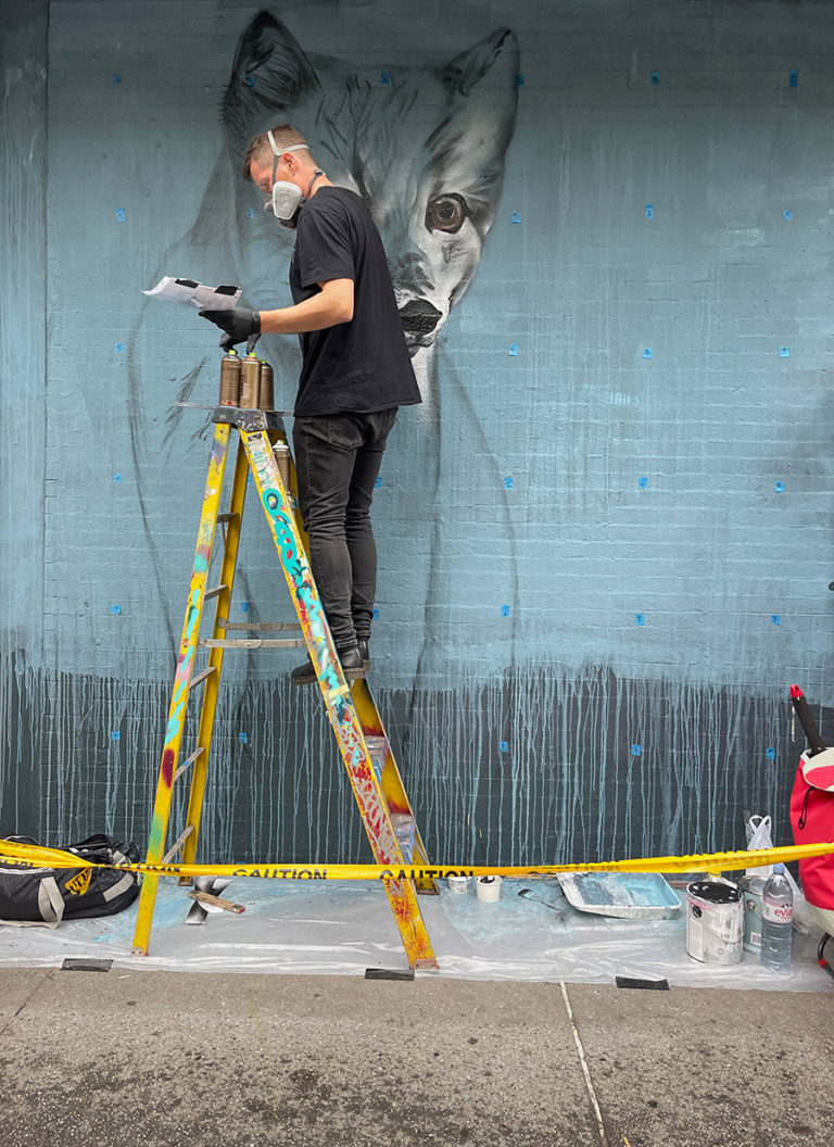 Stockholm’s Vegan Flava Tests NYC Street Environment, Finds His Balance ...