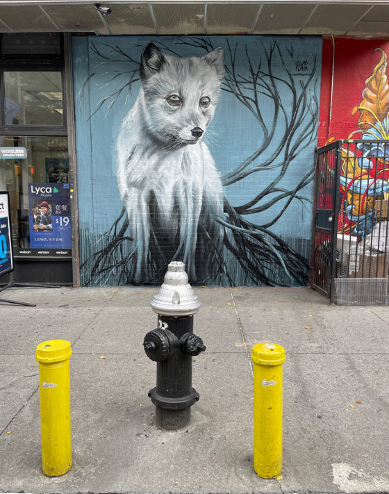 Stockholm’s Vegan Flava Tests NYC Street Environment, Finds His Balance ...