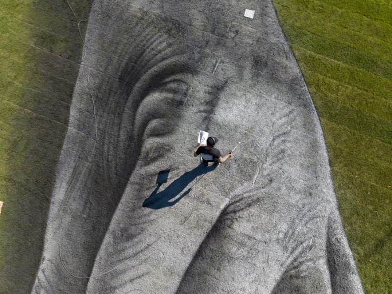 A Majestic Gesture in Geneva. Saype Advocates Peace, Healing ...