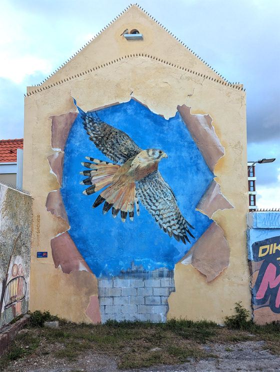 Dispatch From Curaçao: Caribbean Warmth and Urban Art | Brooklyn Street Art