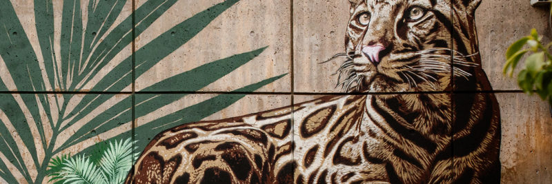 Snik’s Version of the Urban Jungle: Stencil Conservation at Franklin ...