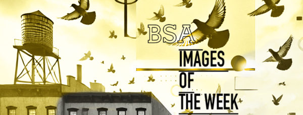 BSA Images Of The Week: 11.10.24 | Brooklyn Street Art