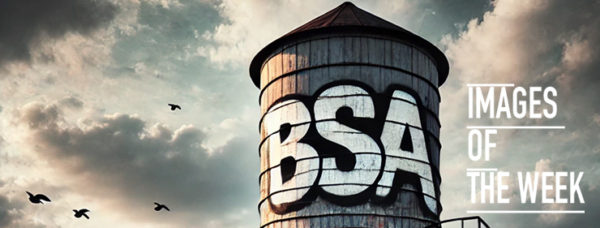 BSA Images Of The Week: 03.02.25 | Brooklyn Street Art