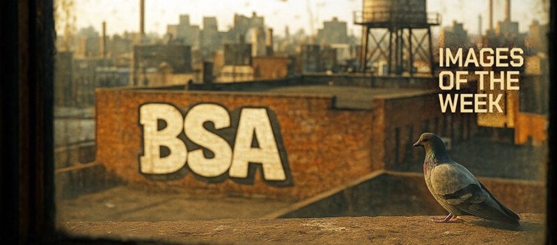BSA Images Of The Week: 11.16.25 | Brooklyn Street Art